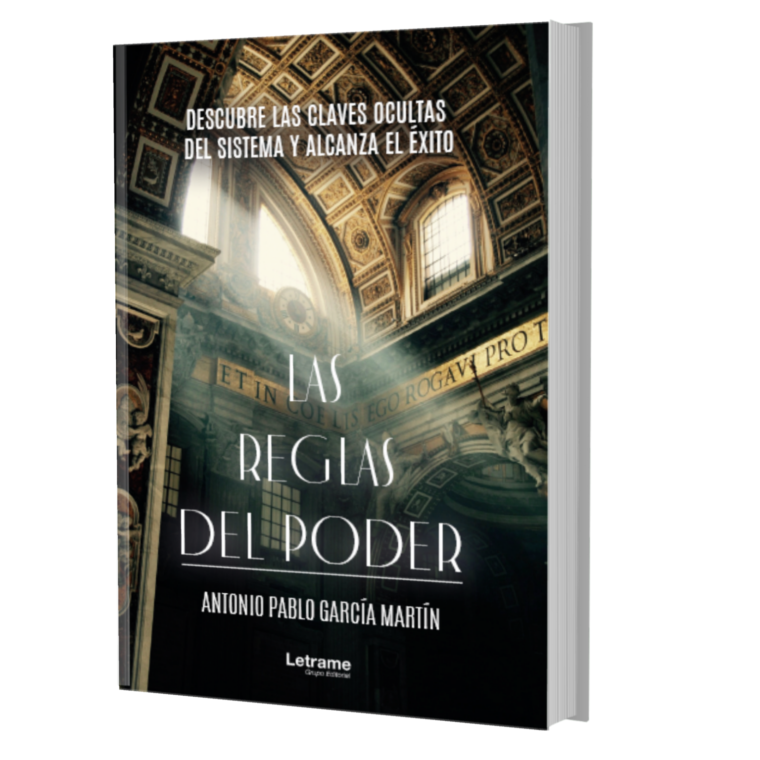 Las Reglas del Poder - Project Coaching